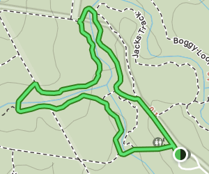 Tingalpa Creek Circuit | Map, Guide - Queensland, Australia | AllTrails