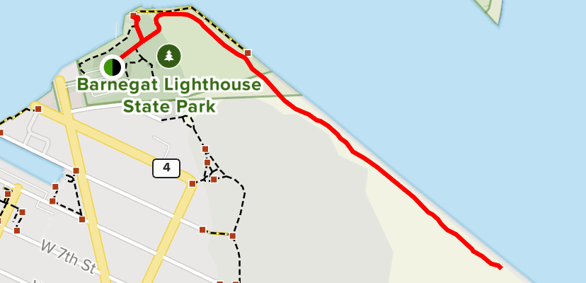 Are Dogs Allowed At Barnegat Lighthouse