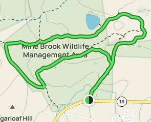 Mine Brook Wildlife Management Area: 16 Reviews, Map - Massachusetts ...