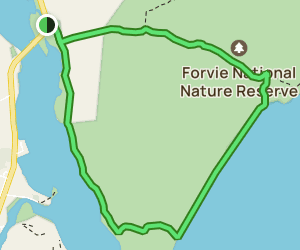 Ythan Estuary and Forvie Sands Circular: 78 Reviews, Map ...