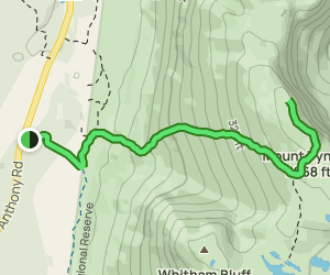 AllTrails | Mount Tyndall Summit: 23 Reviews, Map - Tasmania, Australia