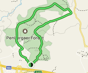 Penllergaer Forest Circular: 48 Reviews, Map - Swansea, Wales | AllTrails