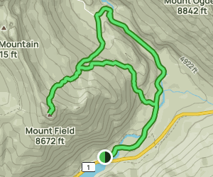 Mount Field Skier's Route: 4 Reviews, Map - British Columbia, Canada ...