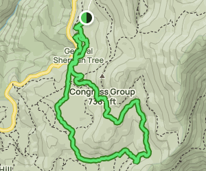 Sherman Tree, Congress, Trail of the Sequoias, and Tharp's Log Loop ...