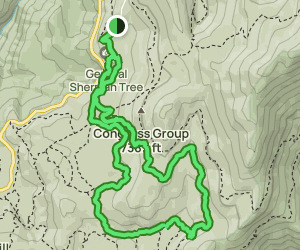 Sherman Tree, Congress, Tharp's Log, and Circle Meadow Loop [CLOSED ...