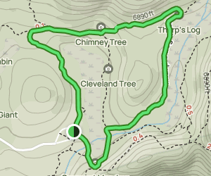 High Sierra, Tharp's Log, and Crescent Meadow Loop: 516 Reviews, Map ...