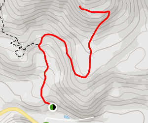 Santuario de la Mariposa Monarca - Piedra Herrada - México, Mexico ...