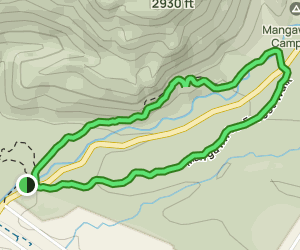 Mangawhero Forest Walk: 84 Reviews, Map - Manawatu-Wanganui, New ...