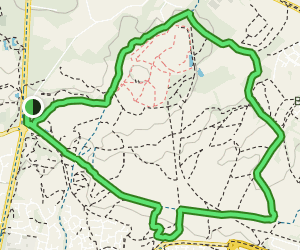 AllTrails | Canford Heath Circular: 16 Reviews, Map - Dorset, England