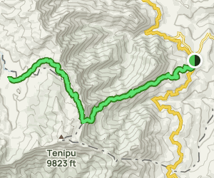 Dzukou Valley Trek: 6 Reviews, Map - Nagaland, India | AllTrails