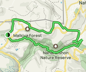 Nahal Dishon, Mount Dishon and Avivim: 1 Reviews, Map - Northern ...