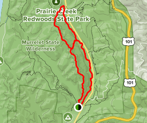 Zig Zag Figure 8 Trail | Mapa, Roteiro - California | AllTrails