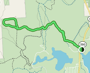 Tree Tower, Bear Wallow, Big Dam Ridge, Song Dog, and Overlook Trail ...