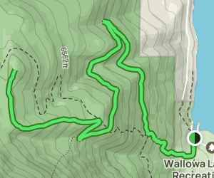 Chief Joseph Summit Trail: 65 Reviews, Map - Oregon | AllTrails