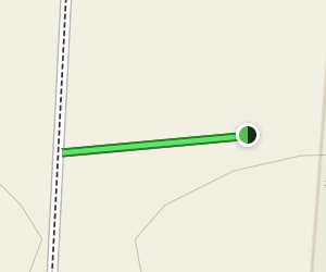 Billie's Tree: 2 Reviews, Map - Queensland, Australia | AllTrails