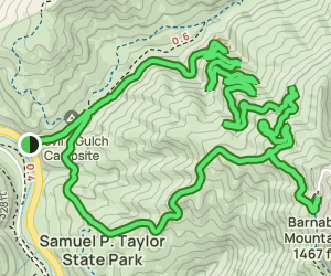 Bill's Trail to Mount Barnabe Peak Loop: 373 Reviews, Map - California ...