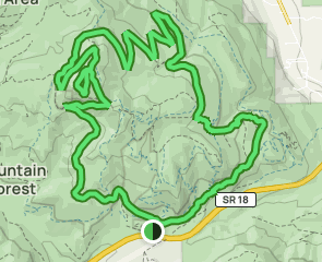 East Tiger Mountain Loop via Tiger Mountain Road and NW Timber Trail ...