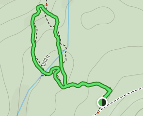 Franklin Forest Walk: 14 Reviews, Map - Tasmania, Australia | AllTrails