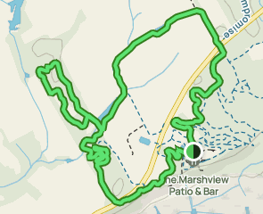 Flattening the Curve, Definite Mabee, and One for the Vine Loop ...