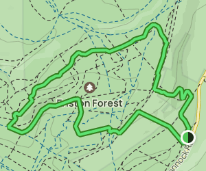 Friston Forest Short Circular: 12 Reviews, Map - East Sussex, England ...