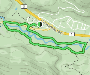 Beaver Pond Loop: 26 Reviews, Map - British Columbia, Canada | AllTrails