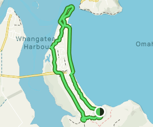Omaha Beach Loop: 9 Reviews, Map - Auckland, New Zealand | AllTrails