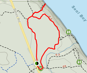 Seal Bay Coupland Loop - British Columbia, Canada | AllTrails