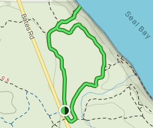 AllTrails | Seal Bay Coupland Loop: 155 Reviews, Map - British Columbia ...