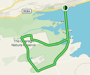 The Gearagh Nature Reserve - County Cork, Ireland | AllTrails