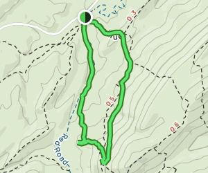 Oak Mountain Loop Trail: 108 Reviews, Map - Alabama | AllTrails