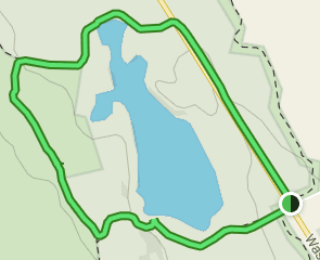 Ashley Lake Loop Trail: 25 Reviews, Map - Massachusetts | AllTrails