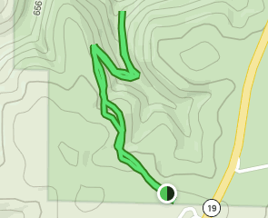 Greer Spring Trail, Missouri - 269 Reviews, Map | AllTrails