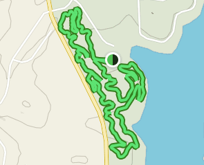 Priest Lake Mountain Biking Trail, Tennessee - 178 Reviews, Map | AllTrails