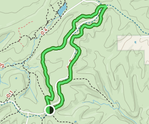 Mason Ridge Trail: 382 Reviews, Map - Indiana | AllTrails
