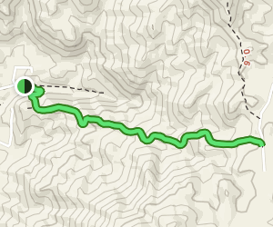 Two Trees Trail: 951 Reviews, Map - California | AllTrails