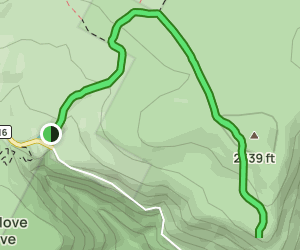 Huckleberry Point Trail: 1543 Reviews, Map - New York | AllTrails