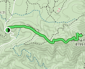 Bertha Peak Via Holcomb Valley Road (2N09), California - 255 Reviews ...