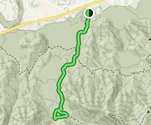 Maddron Bald Trail to Albright Grove Loop: 830 Reviews, Map - Tennessee ...