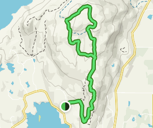 Turtleback Mountain South Trail : 289 Reviews, Map - Washington | AllTrails