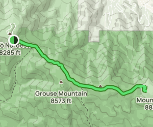 Mount Pinos via Vincent Tumamait Trail: 167 Reviews, Map - California ...