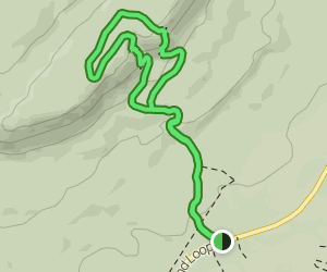 Elephant Back Mountain Trail: 736 Reviews, Map - Montana | AllTrails