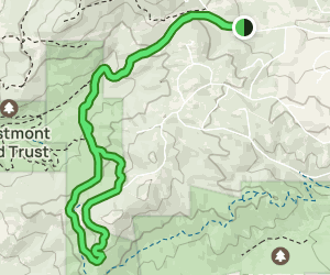 Fitton Green Natural Area Trail: 330 Reviews, Map - Oregon | AllTrails