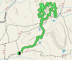 Dynamite Loop via Storm Trail: 6 Reviews, Map - Nevada | AllTrails