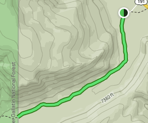 Bacon Rind Creek Trail: 78 Reviews, Map - Montana | AllTrails