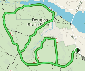 Douglas Forest Wallis Pond Loop Trail: 650 Reviews, Map - Massachusetts ...