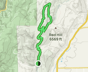 Heil Valley Ranch Trail, Colorado - 231 Reviews, Map | AllTrails