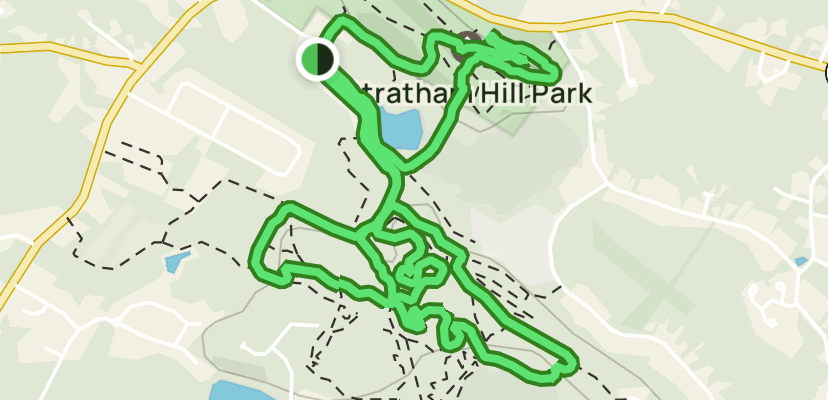 Are Dogs Allowed At Stratham Hill Park