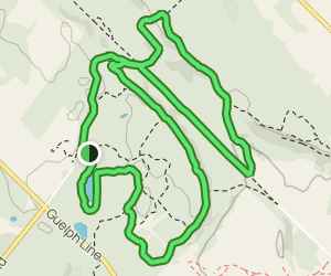 Nassagaweya, Bruce, and Crawford Lake Trails Loop: 497 Reviews, Map ...