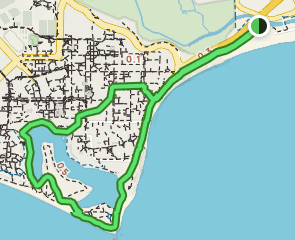 Goleta Beach and the UCSB Lagoon Trail: 284 fotos - Califórnia | AllTrails