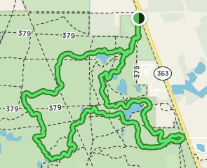 Munson Hills Trail, Florida - 536 Reviews, Map | AllTrails